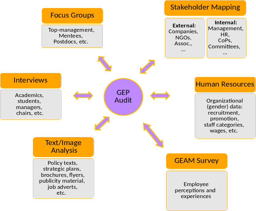 GEAM Manual - Gender Equality Audit and Monitoring - 1 Introduction